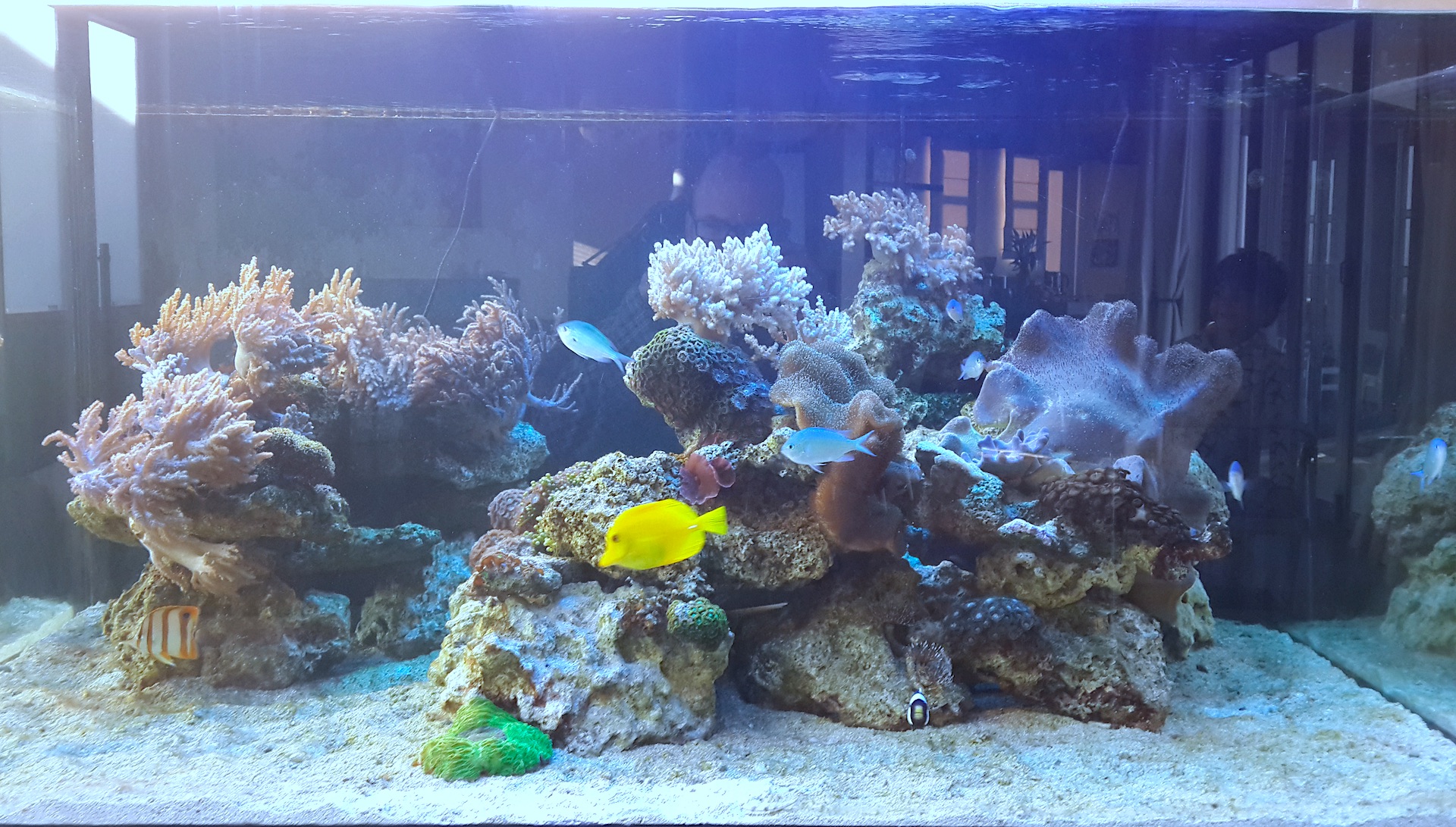 The Spine Model | Kevin Trethewey